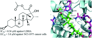Discovery of potent human lactate dehydrogenase A (LDHA) inhibitors ...