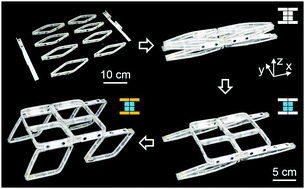 Modular assembly of soft deployable structures and robots - Materials ...