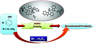 Vanadium bromoperoxidase (VBrPO) mimics: synthesis, structure and a ...