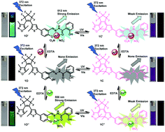 A highly sensitive fluorescent sensor for Al3+ and Zn2+ based on a diarylethene salicylhydrazide ...