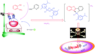 Amberlite IR-120(H)-mediated “on water” synthesis of novel anticancer ...