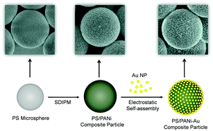 Functional polyaniline-assisted decoration of polystyrene microspheres ...