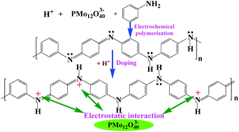 Fabrication and supercapacitor behavior of phosphomolybdic acid ...
