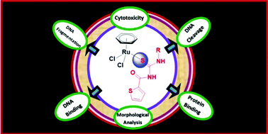 Synthesis of Ru(ii)–benzene complexes containing aroylthiourea ligands ...