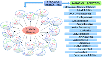 Review: biologically active pyrazole derivatives - New Journal of Chemistry (RSC Publishing)