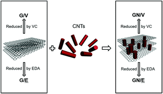 CNT-enhanced amino-functionalized graphene aerogel adsorbent for highly ...