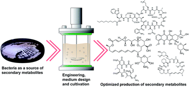 Metabolic engineering with systems biology tools to optimize production ...