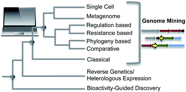 The evolution of genome mining in microbes – a review - Natural Product ...