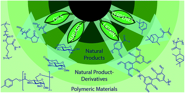 Monomer design strategies to create natural product-based polymer ...