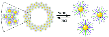 pH-Responsive reversible self-assembly of gold nanoparticles into ...
