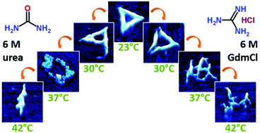 Structural stability of DNA origami nanostructures in the presence of ...