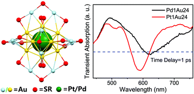 Effects of single atom doping on the ultrafast electron dynamics of ...