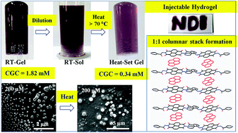 First report of charge-transfer induced heat-set hydrogel. Structural ...