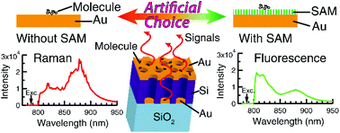 The artificial control of enhanced optical processes in fluorescent ...