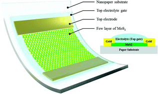 A highly sensitive, highly transparent, gel-gated MoS2 phototransistor ...