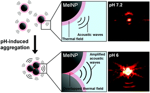 pH-Induced aggregated melanin nanoparticles for photoacoustic signal ...
