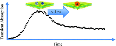 Exciton formation in monolayer transition metal dichalcogenides ...