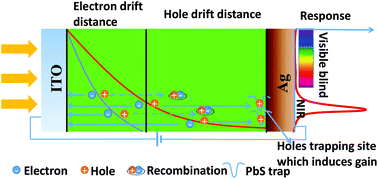 A filterless, visible-blind, narrow-band, and near-infrared ...