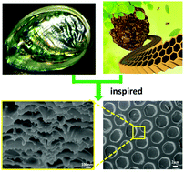 Strengthening of polymer ordered porous materials based on a layered ...