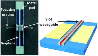 High-responsivity graphene-on-silicon slot waveguide photodetectors - Nanoscale (RSC Publishing)