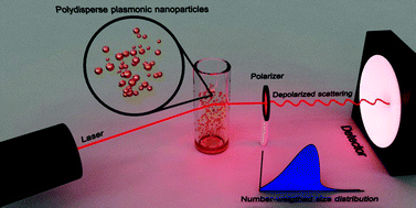 A new angle on dynamic depolarized light scattering: number-averaged ...