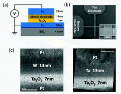 Impact of oxygen exchange reaction at the ohmic interface in Ta2O5 ...