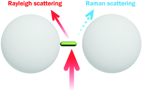 On the critical role of Rayleigh scattering in single-molecule surface ...