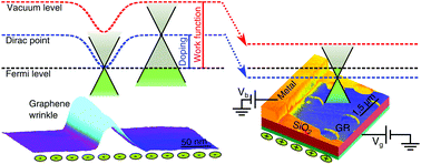Equal variations of the Fermi level and work function in graphene at ...