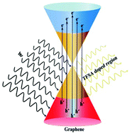Determining the Fermi level by absorption quenching of monolayer ...