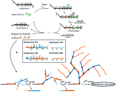Integrating DNA strand displacement circuitry to the nonlinear ...