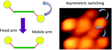 Surface-induced symmetry reduction in molecular switching: asymmetric ...