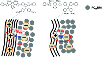 A femtosecond transient absorption study of charge photogeneration and ...