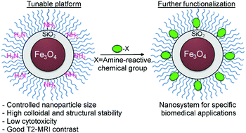 Partial PEGylation of superparamagnetic iron oxide nanoparticles thinly ...