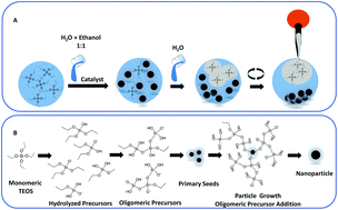 Fast nucleation for silica nanoparticle synthesis using a sol–gel ...