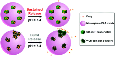 Composite CD-MOF nanocrystals-containing microspheres for sustained drug delivery - Nanoscale ...
