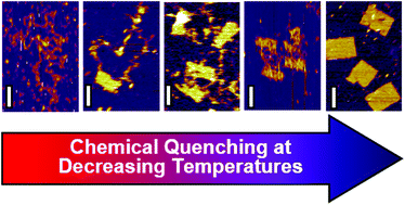 Search for effective chemical quenching to arrest molecular assembly ...