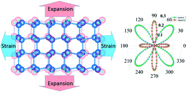 δ-Phosphorene: a two dimensional material with a highly negative ...