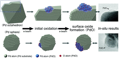An In situ TEM study of the surface oxidation of palladium nanocrystals ...
