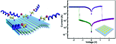 Solution-processable poly(N-vinylcarbazole)-covalently grafted MoS2 ...