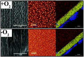 Oxygen-promoted catalyst sintering influences number density, alignment ...