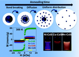 Diffusion doping in quantum dots: bond strength and diffusivity ...