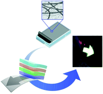 A dual-scale metal nanowire network transparent conductor for highly ...