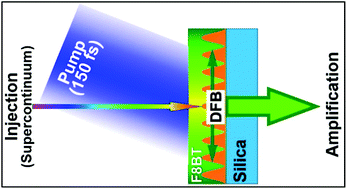 Ultrafast injection-locked amplification in a thin-film distributed feedback microcavity ...