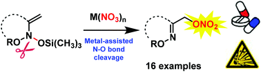 Metal-assisted addition of a nitrate anion to bis(oxy)enamines. A ...
