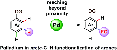 Palladium catalysed meta-C–H functionalization reactions - Organic ...