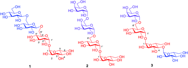 First total synthesis of trehalose containing tetrasaccharides from ...