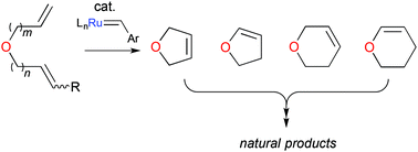 Recent applications in natural product synthesis of dihydrofuran and ...