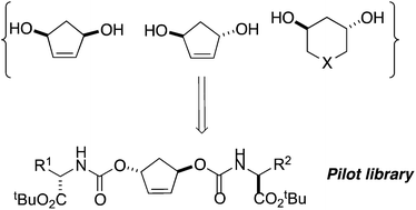 Synthesis of cyclic 1,3-diols as scaffolds for spatially directed ...