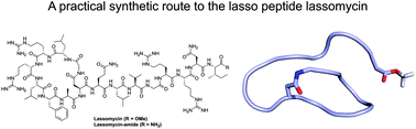 Total chemical synthesis of lassomycin and lassomycin-amide - Organic ...