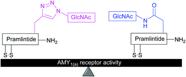 Synthesis and amylin receptor activity of glycomimetics of pramlintide ...